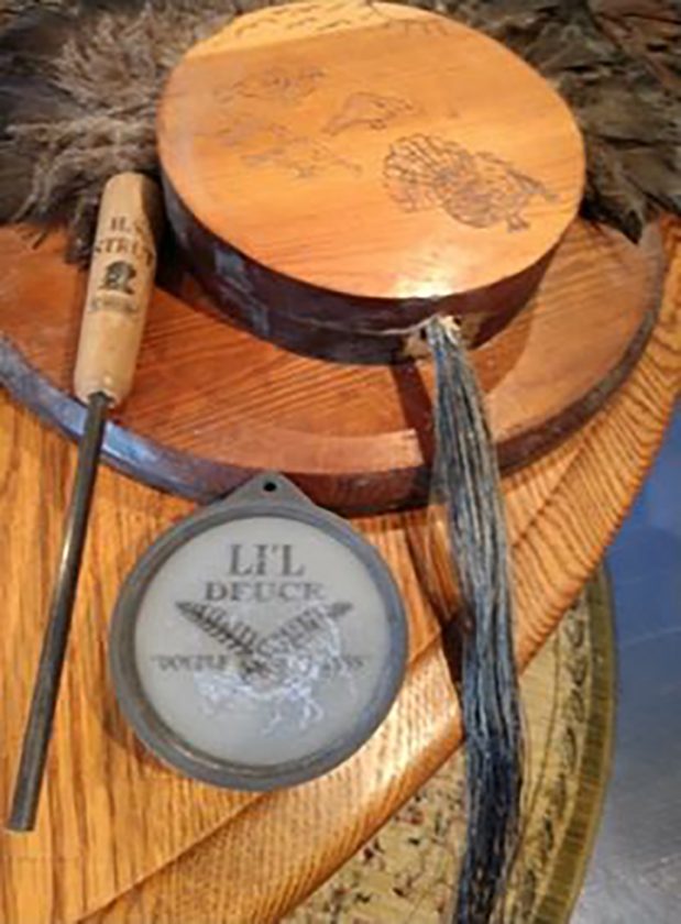 The beauty of the bird | News, Sports, Jobs - The Alpena News